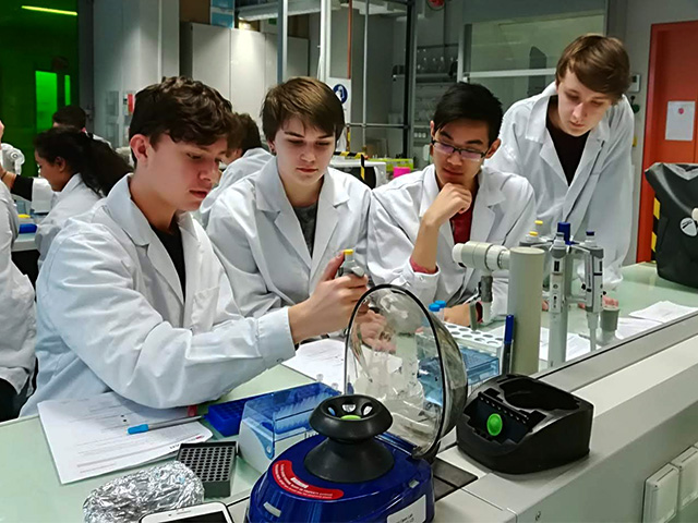 Naturwissenschaften: BRG6